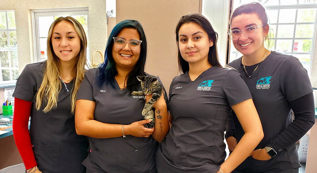 Team - Vet in Miami | Town & Country Animal Hospital